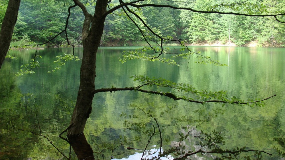 Baku - Ismayilli - Baku | 4* Ismayilli Resort Hotel